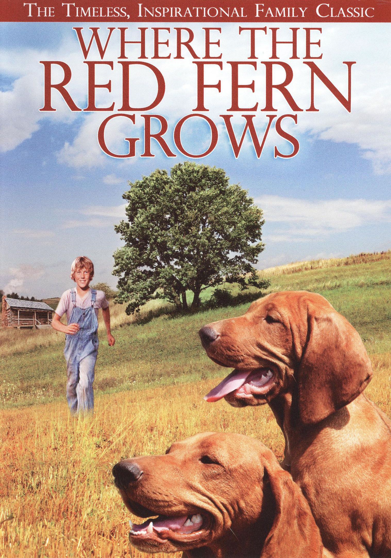 Book Shelf – Where the Red Fern Grows – The POSITIVE Catholic