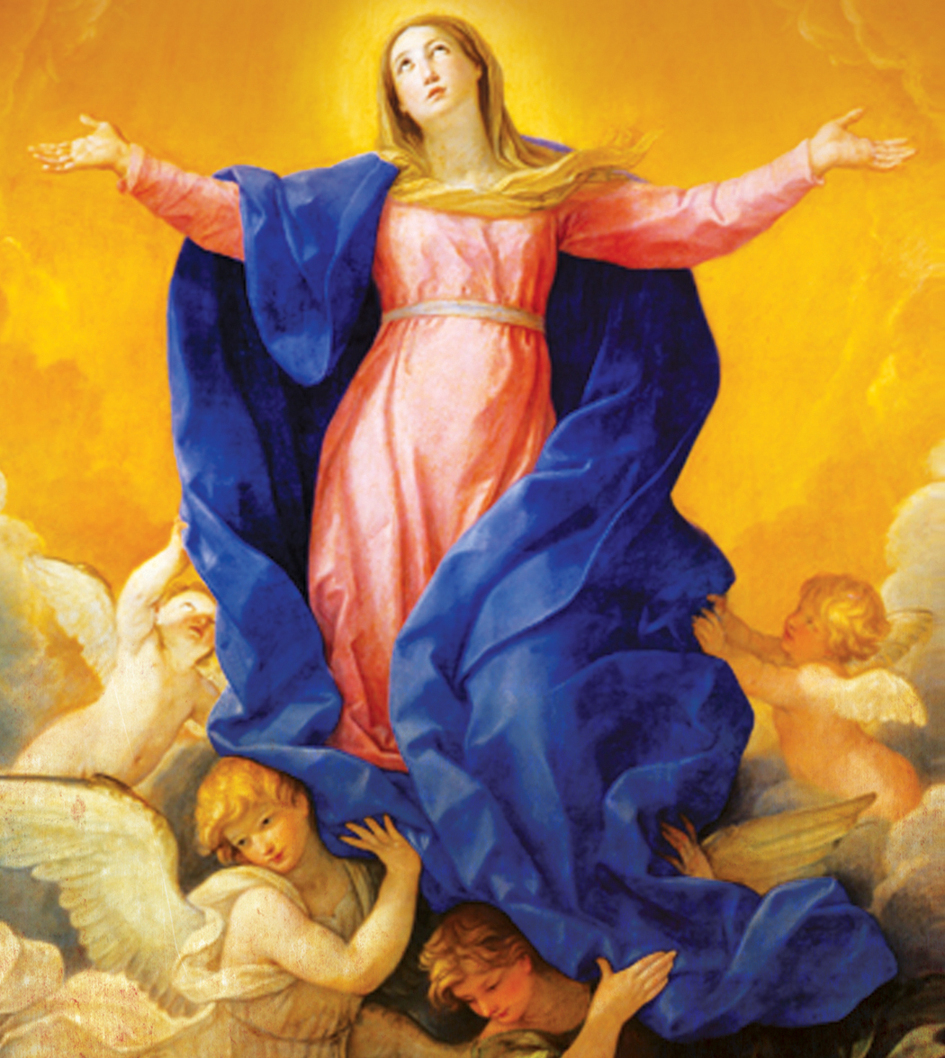 Mysteries of the Rosary – The POSITIVE Catholic